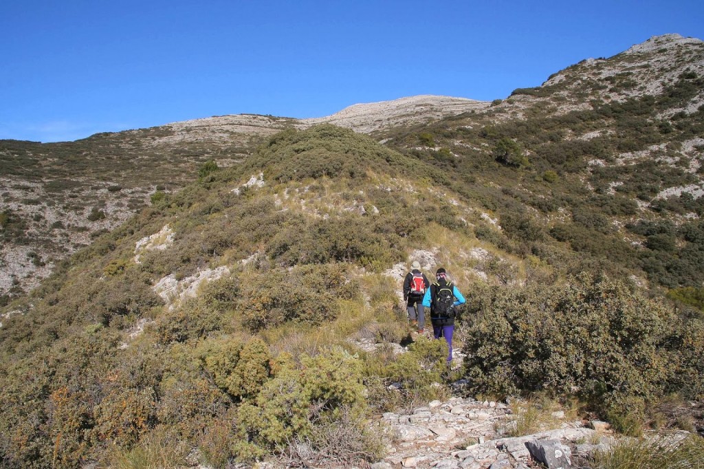 Hiking trails